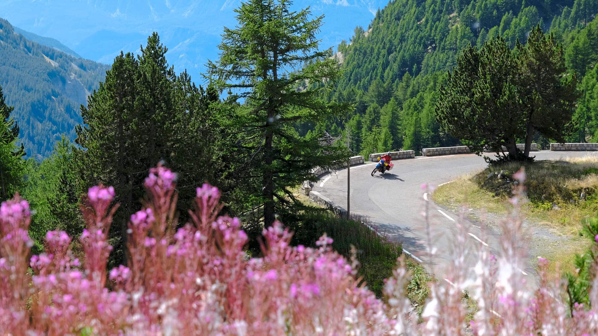 Geheimtipp in den Alpen: Wenig befahrener Berg-Pass Col de la Cayolle